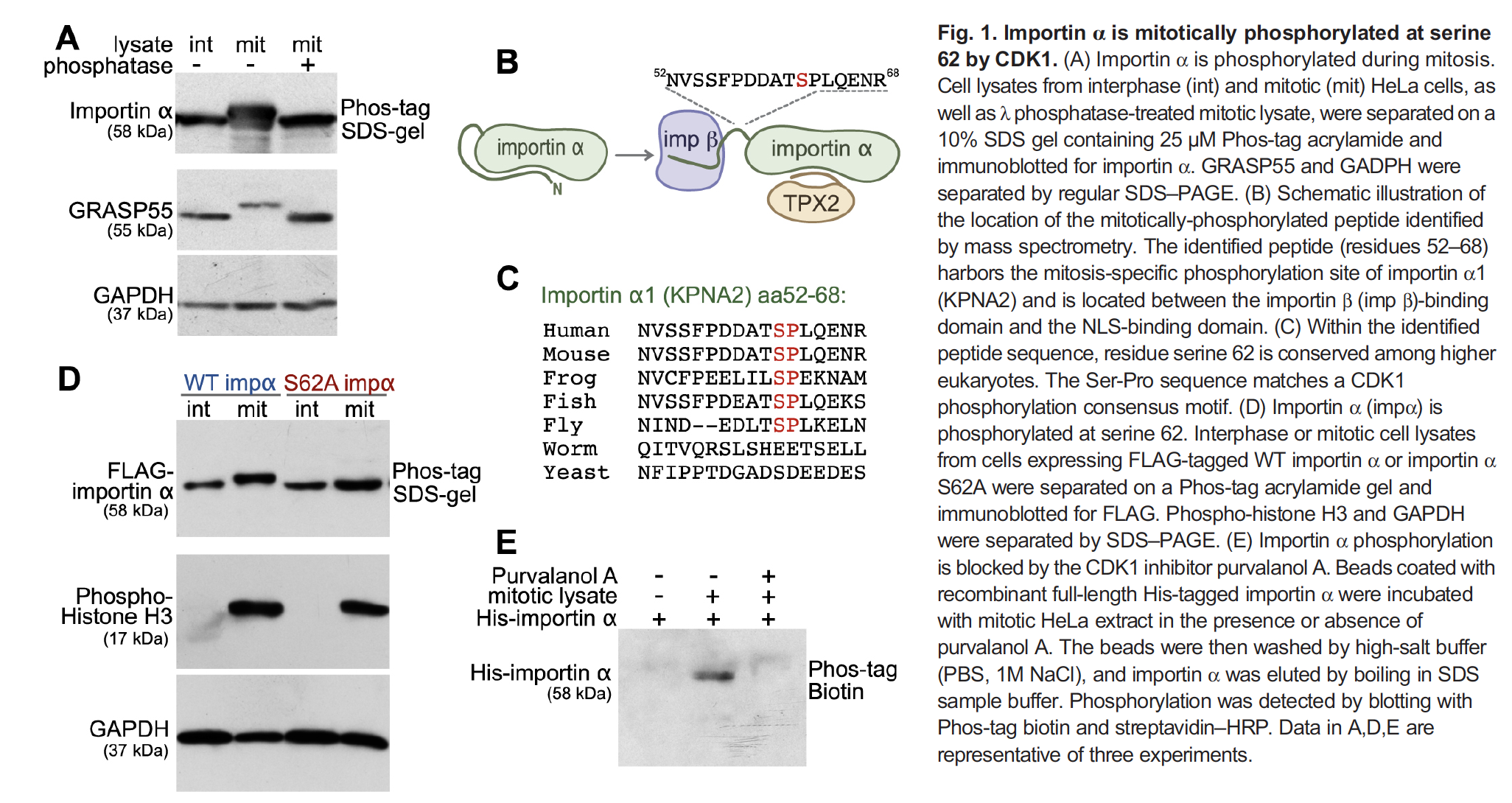 The devil in the details (a short guide to writing figure legends ...