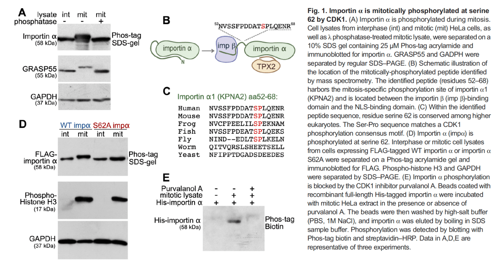 The devil in the details (a short guide to writing figure legends ...